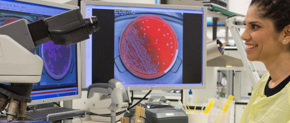 Communicable Disease Prevention & Control Services | Island Health